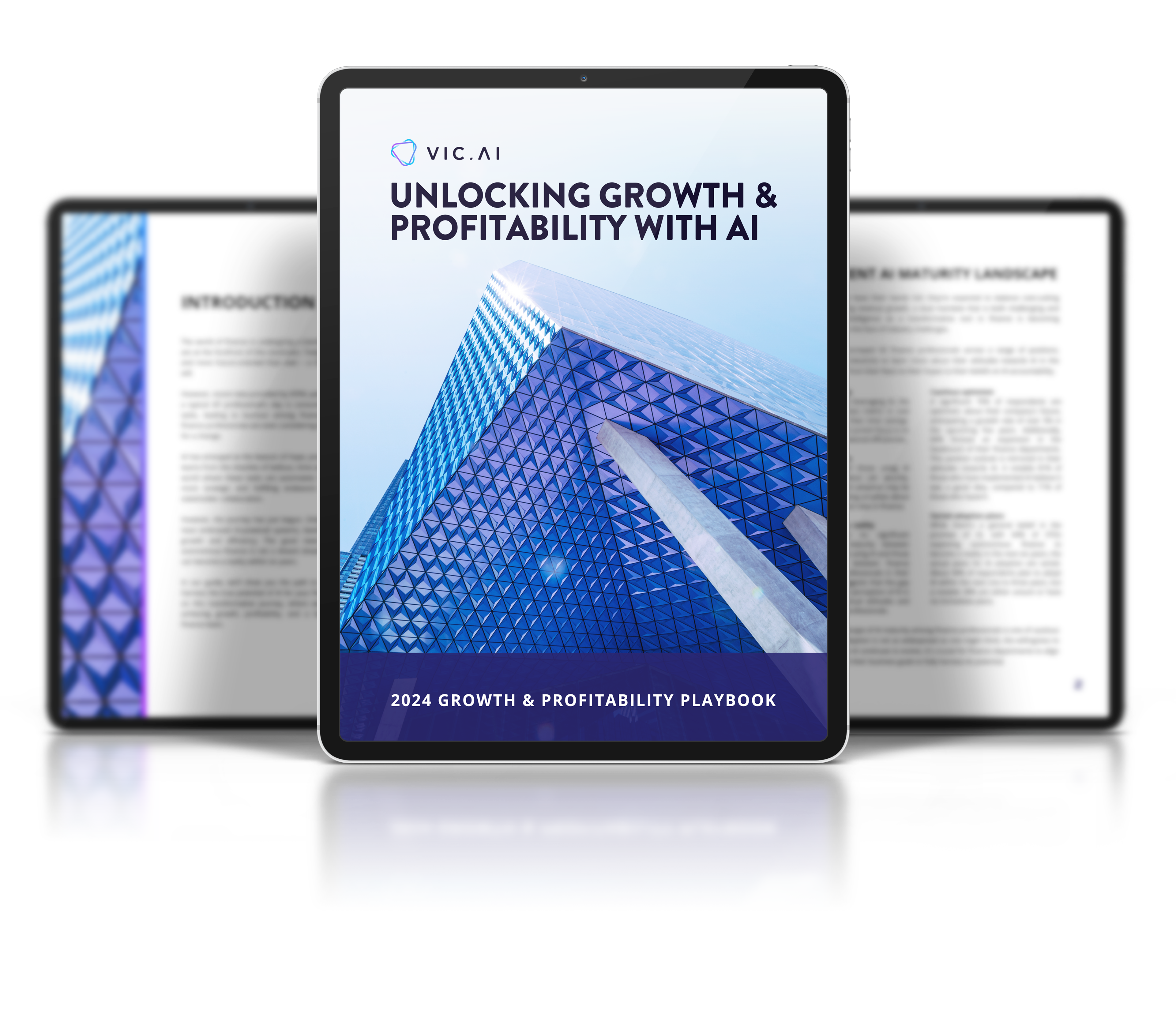 2024 Growth and Profitability Playbook